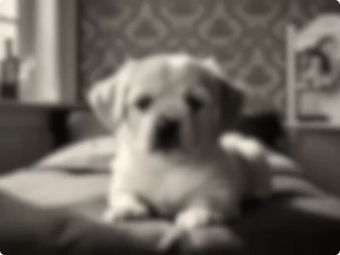 Dzine's AI Video Enhancer - Enhance Video Quality Online and Free